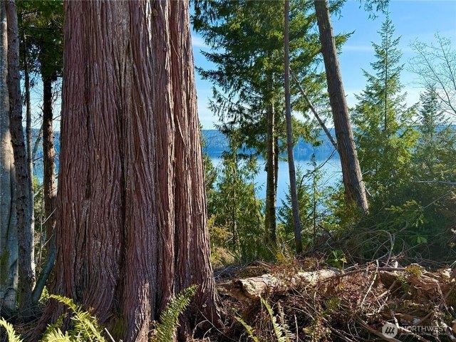 63 Devereaux Dr Lot TRACT2, Lilliwaup, WA 98555