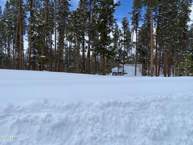 63 Gcr 499, Grand Lake, CO 80447 | MLS #25 1546