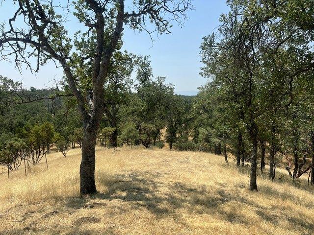 63 Little Oak Ln, Cottonwood, CA 96022