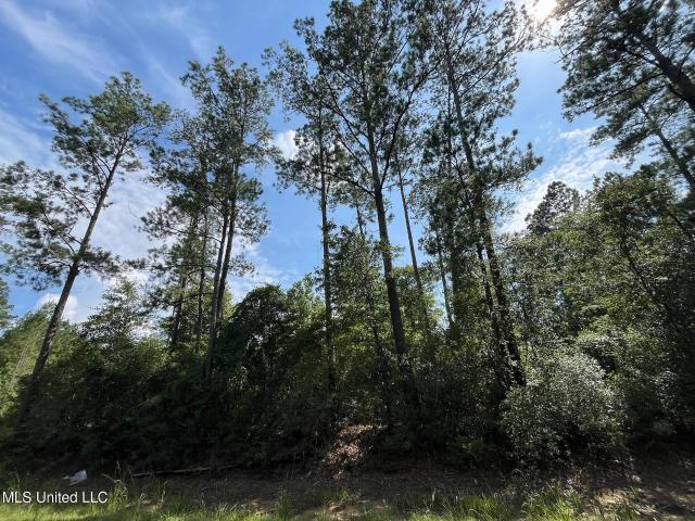 63 N Hwy, Leakesville, MS 39451 | MLS #4117