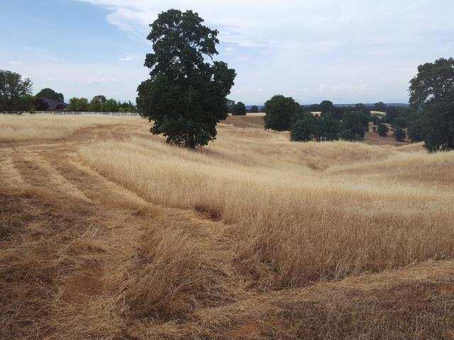 63 River Downs Way, Cottonwood, CA 96022 | MLS #26 378