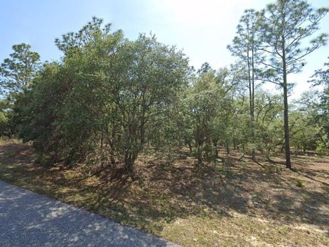 6004 N Darlington Dr, Citrus Springs, FL 34434