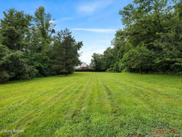 6006 Billtown Rd