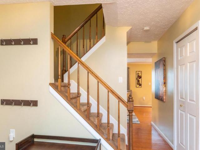 6006 Bobcat Court