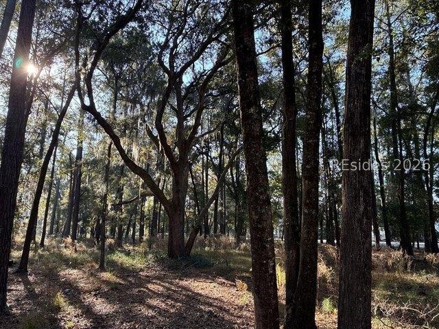 6008 Green Pond Dr, Beaufort, SC 29906