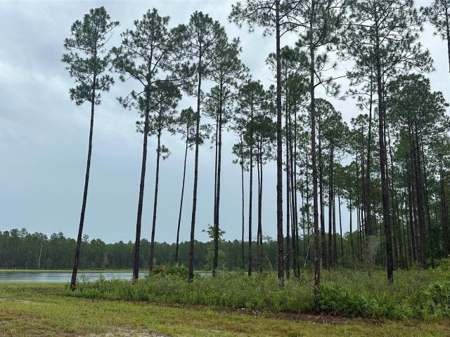 6008 Highway 301, Jacksonville, FL 32234 | MLS #109214