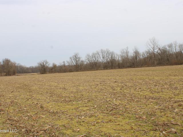 6000 Austin Road