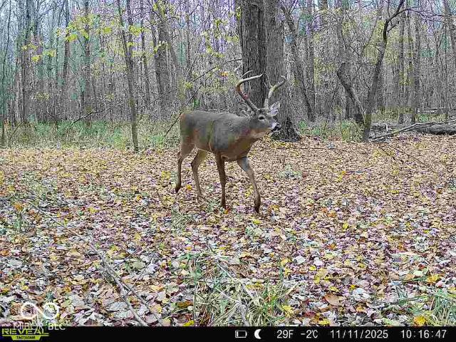6000 E Block County Rd 1000 N