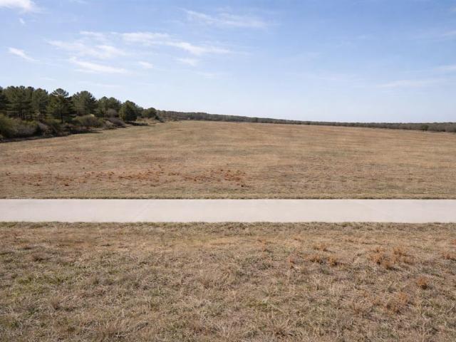 6001 Conifer Ct, Poolville, TX 76487 | MLS #21221