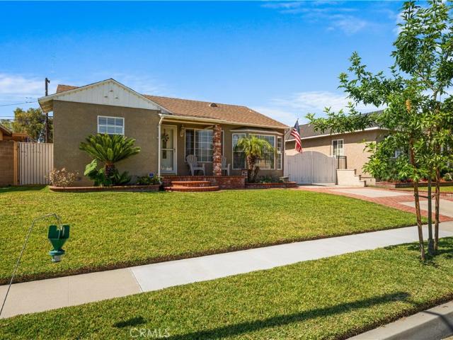 6002 Gallup