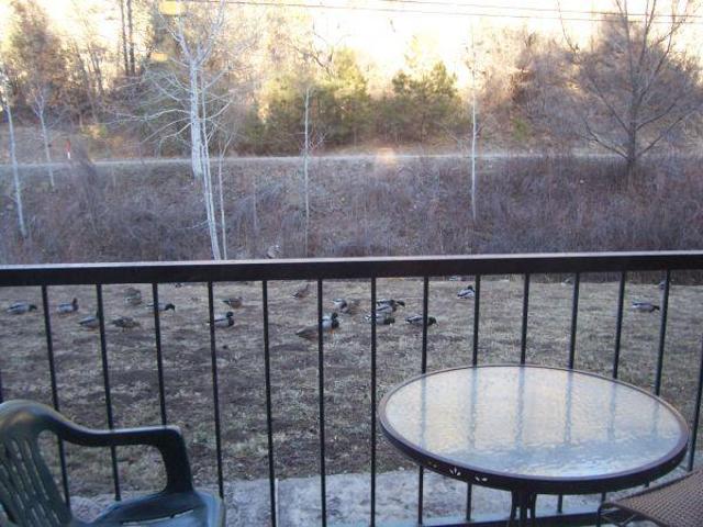 $600 / 1br 500ft² Condo Ruidoso