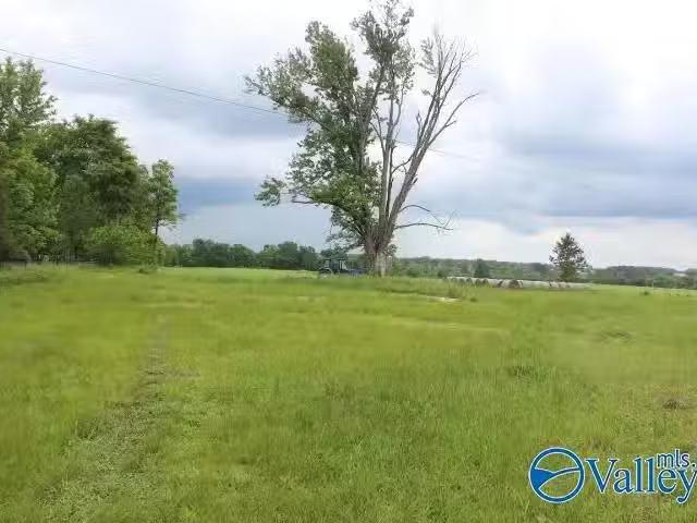 600 COUNTY ROAD 550, GROVEOAK, AL 35975