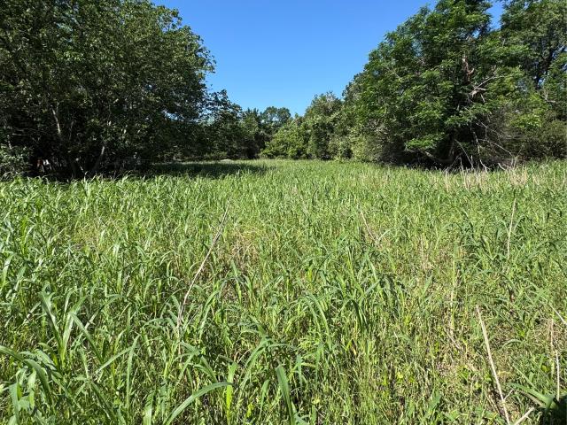 600 Gazley St, Smithville, TX 78957 | MLS #7255 | Compass