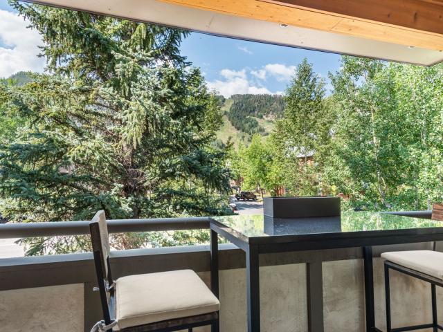 600 East Main Street Unit 301, Aspen, US, CO