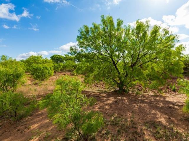 600 FM 600, Haskell, TX 79553