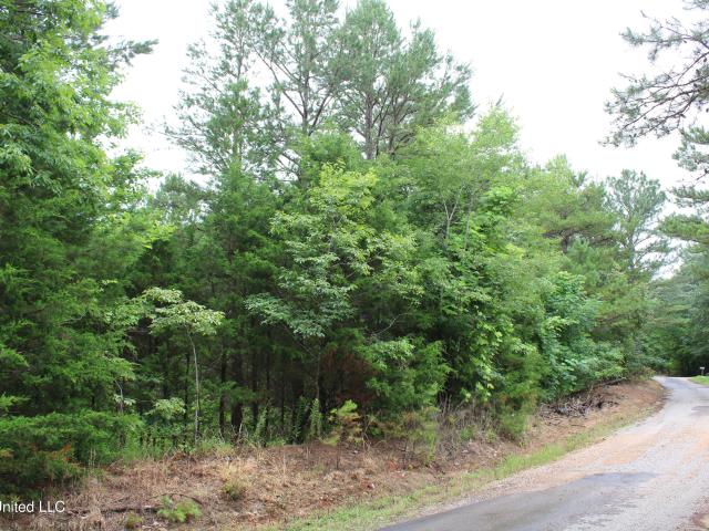 600 Jessie'S Road