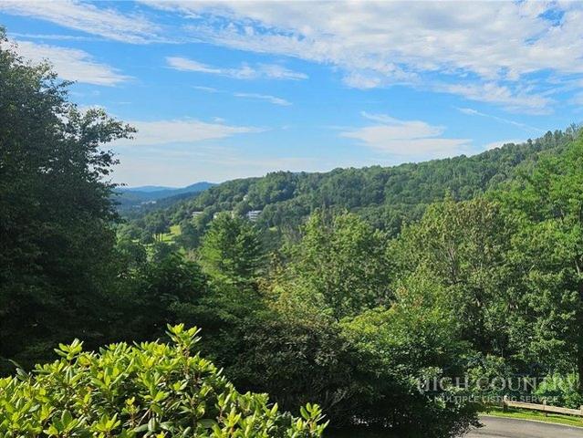600 Mountain Glen Dr, Newland, NC 28657