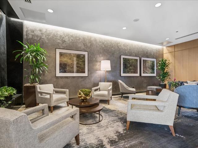 600 N Lake Shore Drive # 2411