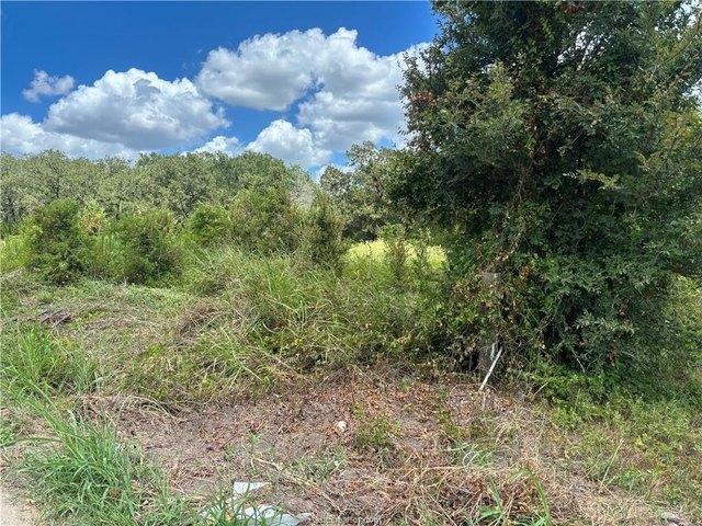 6018 Straub Rd, College Station, TX 77845