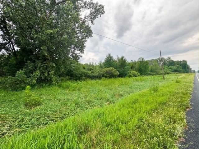 60196 County Road 376