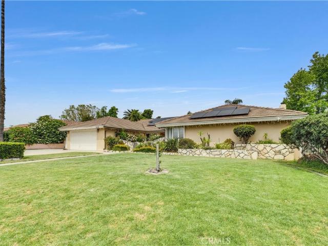 6019 Magnolia