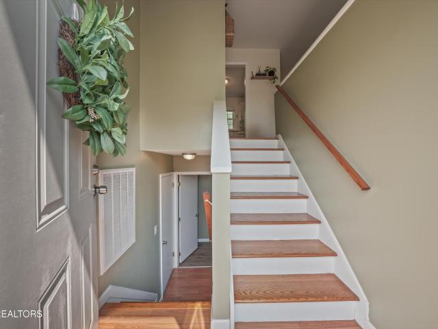 6019 Cougar Drive