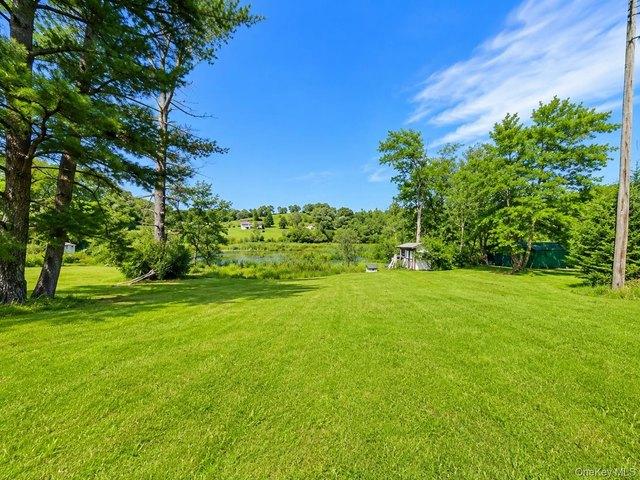 601 Briscoe Rd, Swan Lake, NY 12783