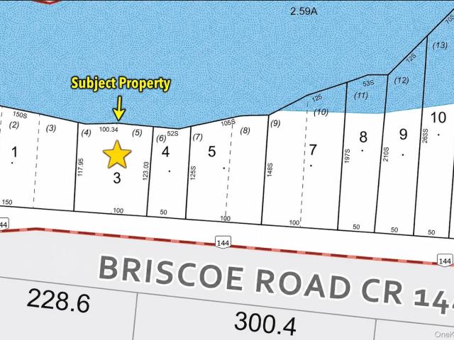 601 Briscoe Rd, Swan Lake, NY 12783 | MLS #1026
