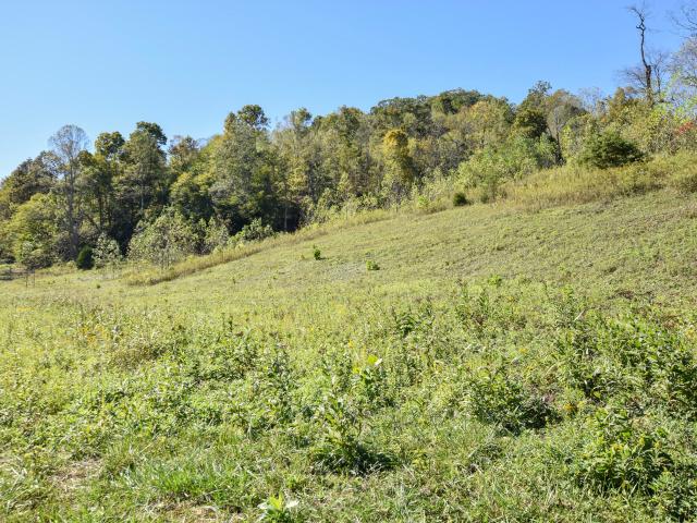 601 Hackworth Hollow Road