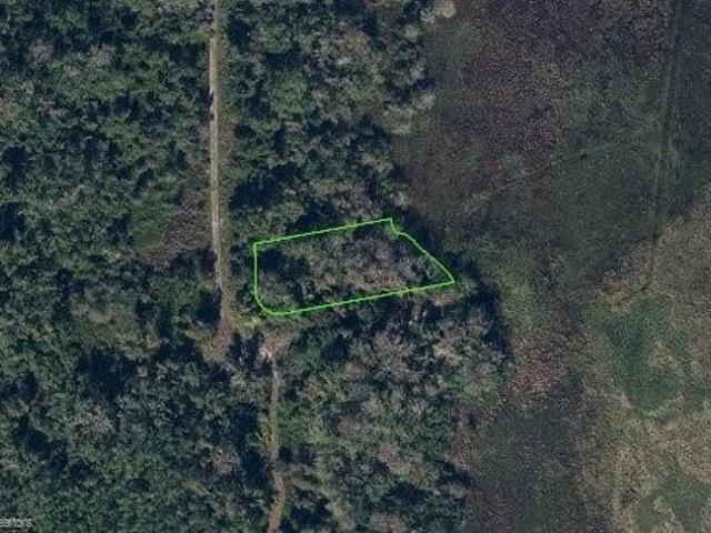 601 Lakesedge Dr, Lake Placid, FL 33852