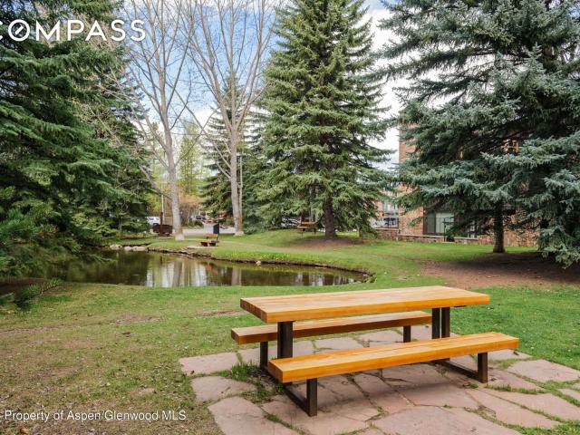 601 S W End St 1, Aspen, CO
