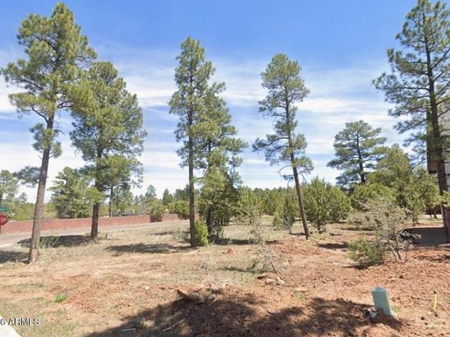 601 S Campbell Ln Unit 66, Show Low, AZ 85901