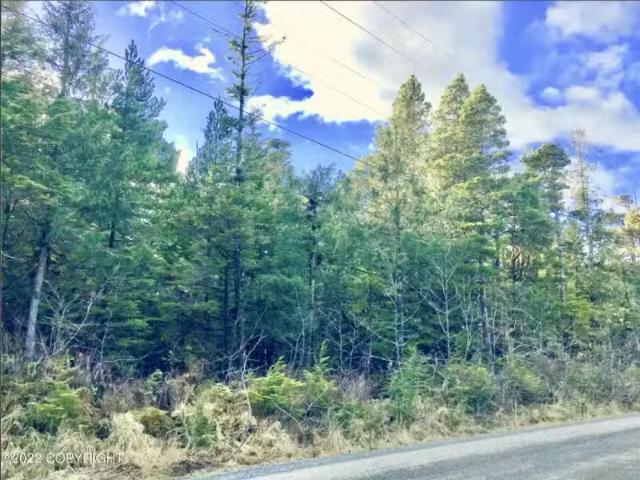 601 SE FAWN DRIVE, COFFMAN COVE, AK 99918 Vacant Land For Sale.