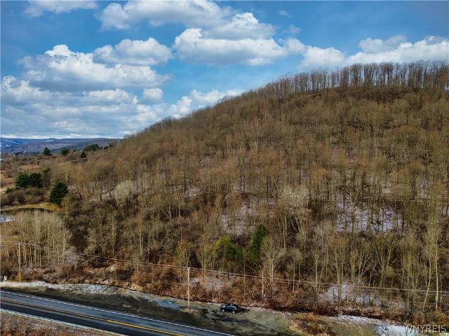 6020 NYS Rte 242 Lot #5