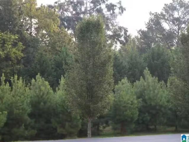 6021 PARKVIEW LN # 310, SYLVAN SPRINGS, AL 35118