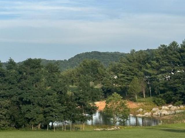 6022 Paradise Cove Dr, Mooresburg, TN 37811