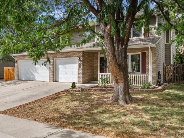 602 Bristlecone Court