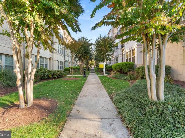 602 Overlook Park Drive