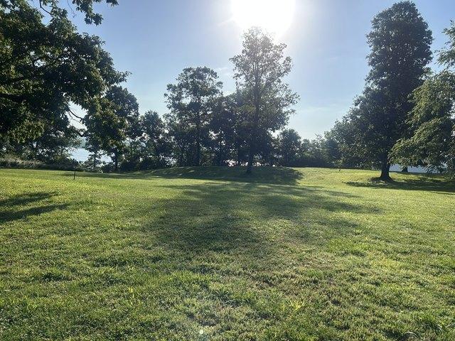 602 S Raum Park Dr, Golconda, IL 62938