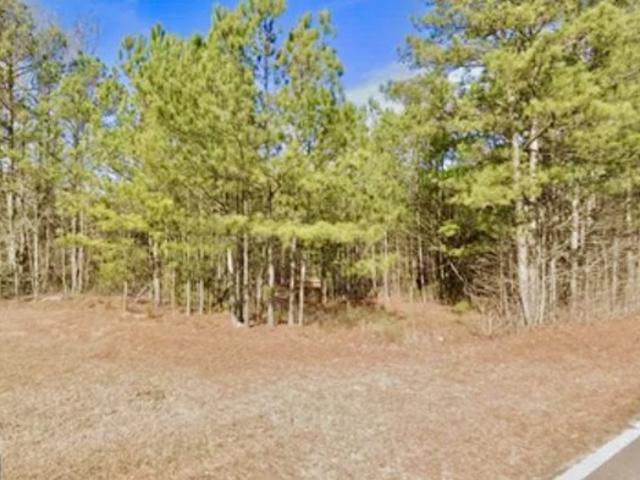 6034 Belle Meade Ct, Villa Rica, GA 30180