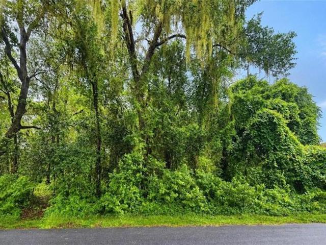 6034 E Sage St, Inverness, FL 34452
