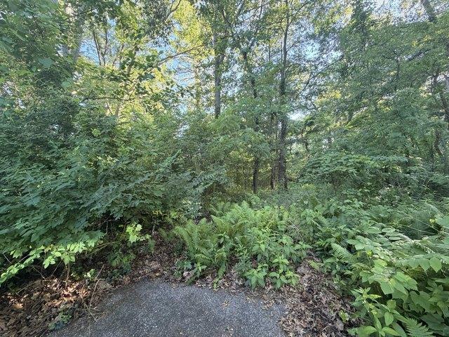 6034 River Ridge Ct, Hamilton, MI 49419