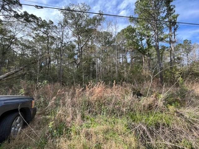 60351 Highway 434, Lacombe, LA 70445 | MLS #2537