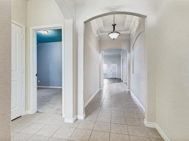 6033 Paddlefish Drive