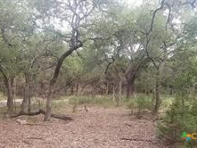 603 Copper Trce, New Braunfels, TX 78132 | MLS #603401