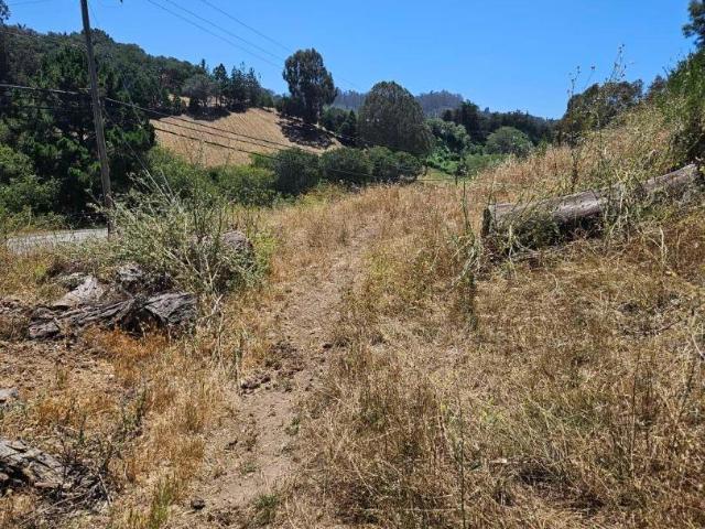 603 Carpenteria Road