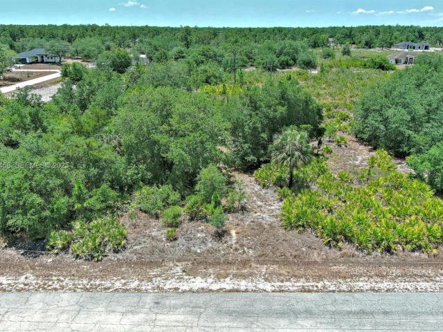603 Fitch Ave, Lehigh Acres, FL 33972 | MLS #A11802