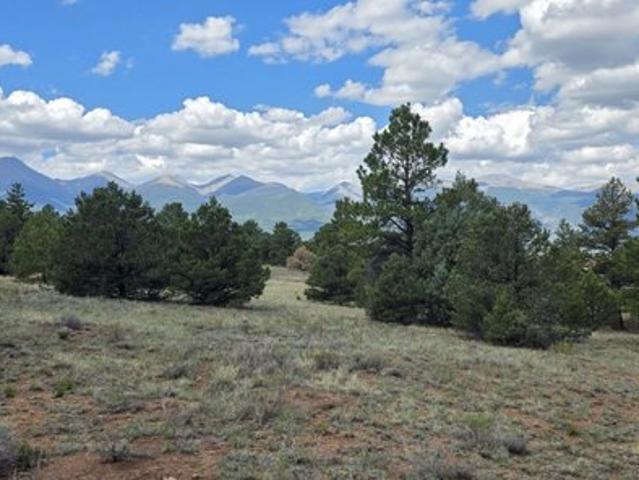 603 Oak Dr, Westcliffe, CO 81252