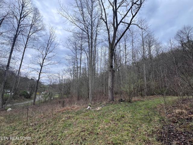 603 Sled Creek Rd