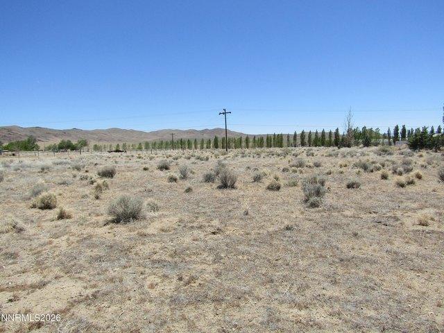 603 Pete Hendrichs Rd, Yerington, NV 89447